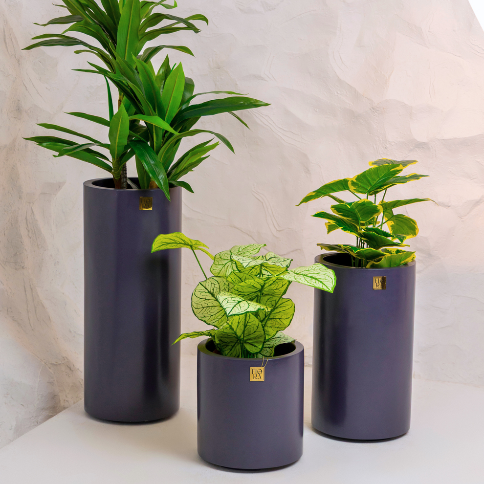 Reo Planter (Set of 3) - Dark Grey – ELORA LIVING